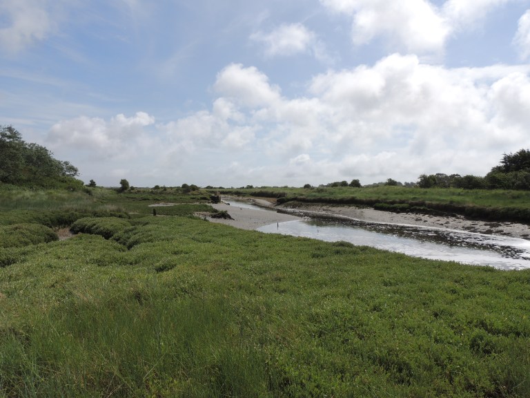 Pagham Harbour – Pete's Favourite Things